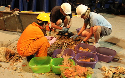 Benthic Sleds and Bottom Trawls • Sleds and Bottom Trawls Field Manual